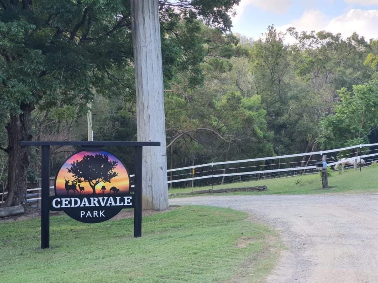 Gallery - Cedarvale Park